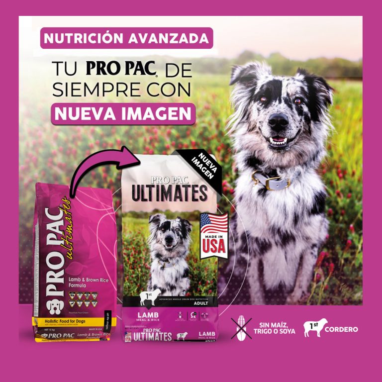 Comida para perros adultos Pro Pac Lamb Meal & Rice